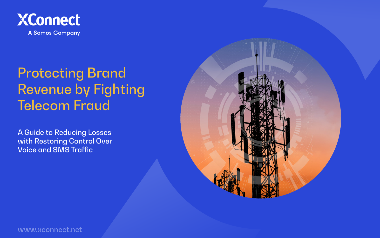 Protecting Brand Revenue by Fighting Telecom Fraud